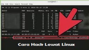 Panduan Cara Hack Lewat Linux – Virenial