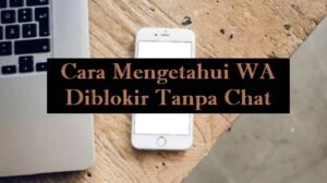 6 Cara Mengetahui WA Diblokir Tanpa Chat Mudah – Virenial
